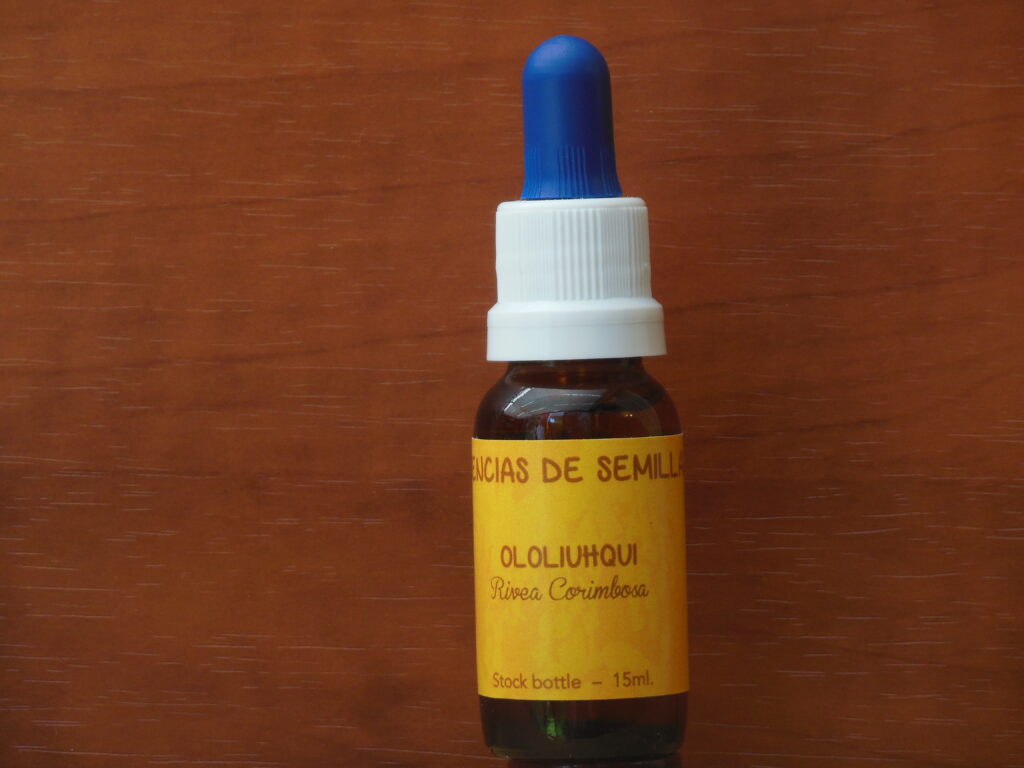 Ololiuhqui (Set 1) - La Caja de Pandora
